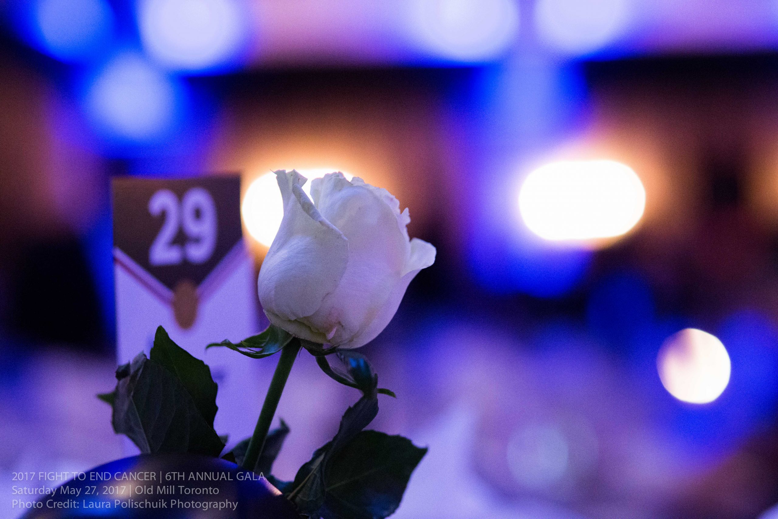 Fight To End Cancer | Defeat Is Not An Option